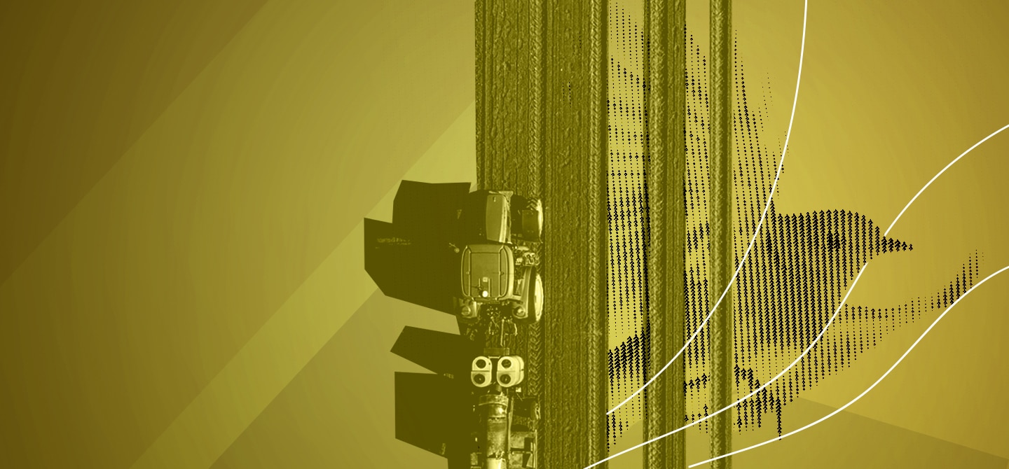 Defaunation: 25% of the world's birds disappeared in 30 years ...