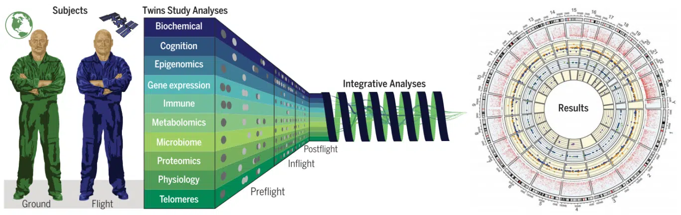Quels sont les risques de l'espace pour les humains ? - Polytechnique Insights