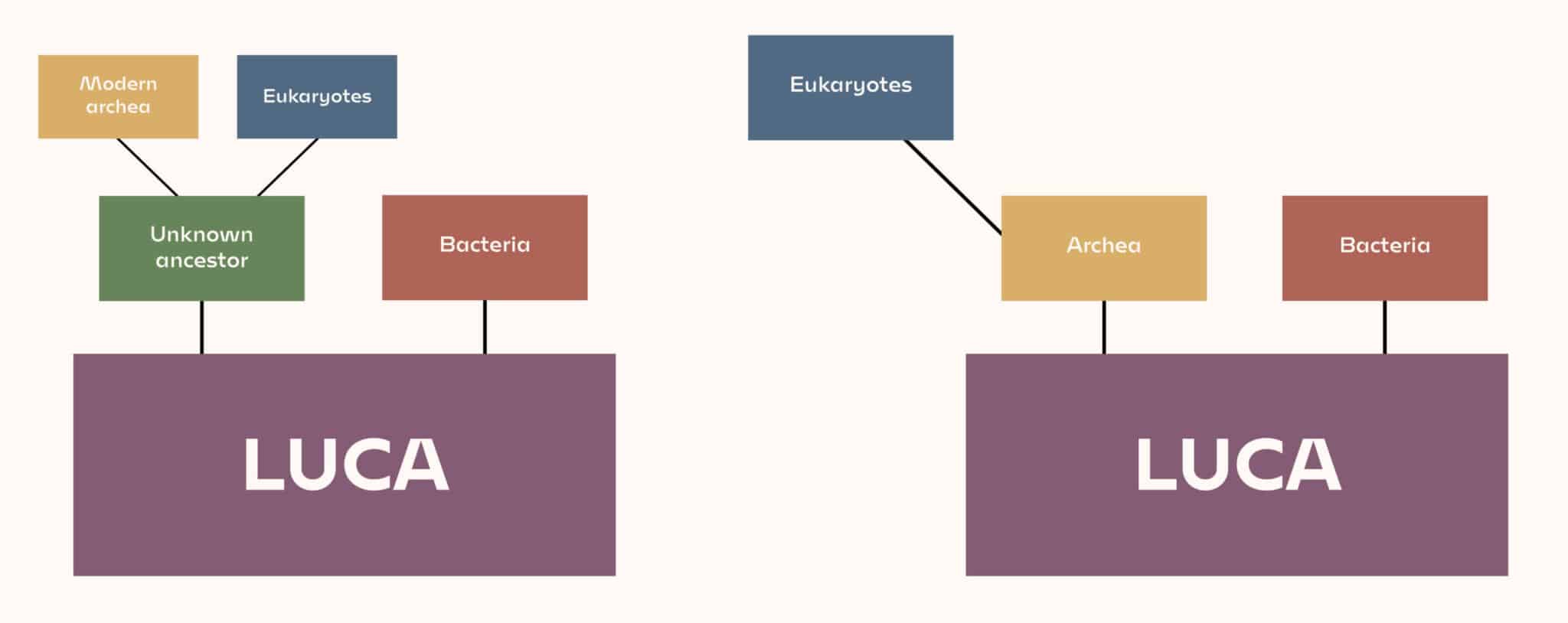 Archaea: why science is so interested in this ancient life form ...