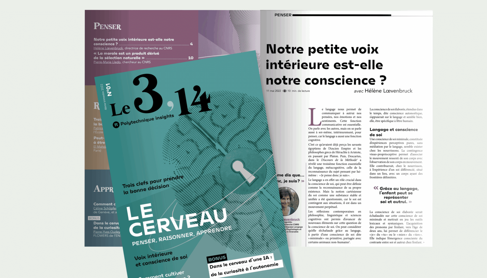 Le cerveau : penser, raisonner, apprendre - Polytechnique Insights