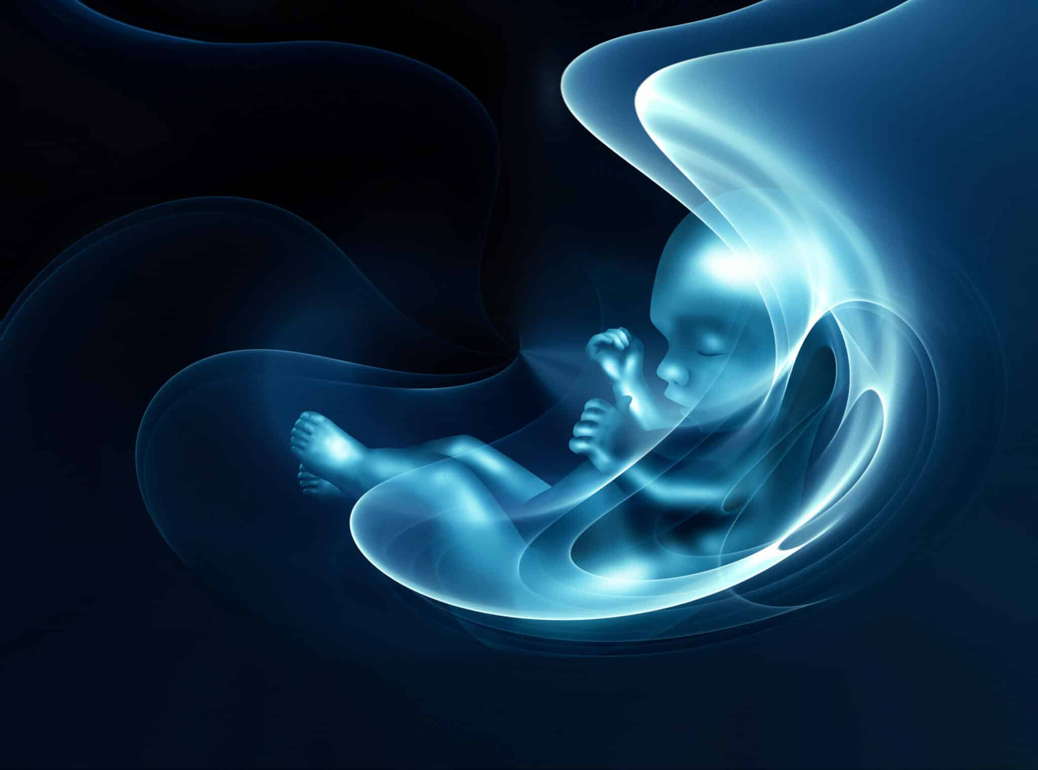 Microchimerism: foreign cells that do us good