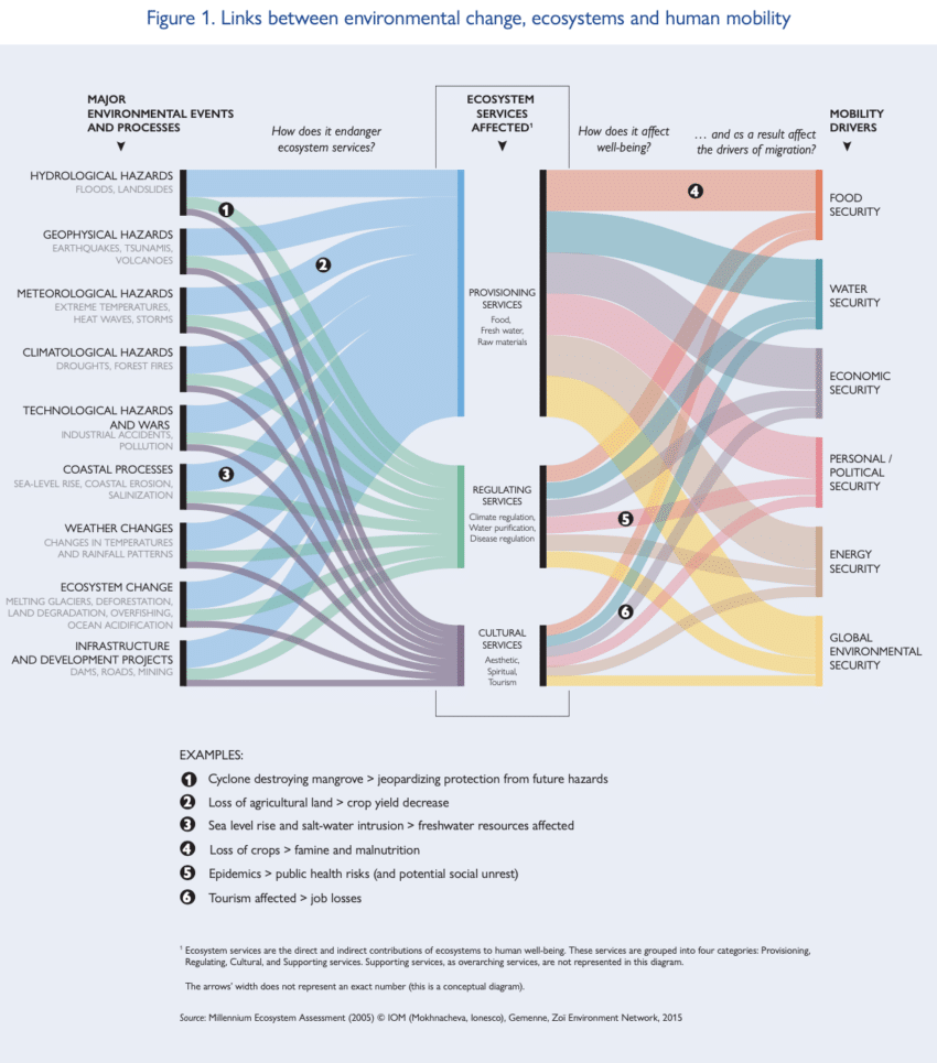 Migration: the effects of climate change